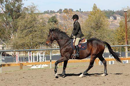 Equestrian club open to new members - Pepperdine Graphic
