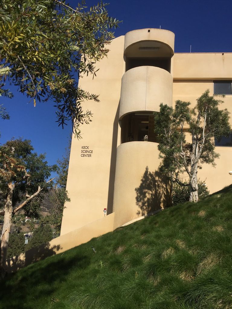 New Natural Science Division Program Opens Doors For First-Year Biology ...