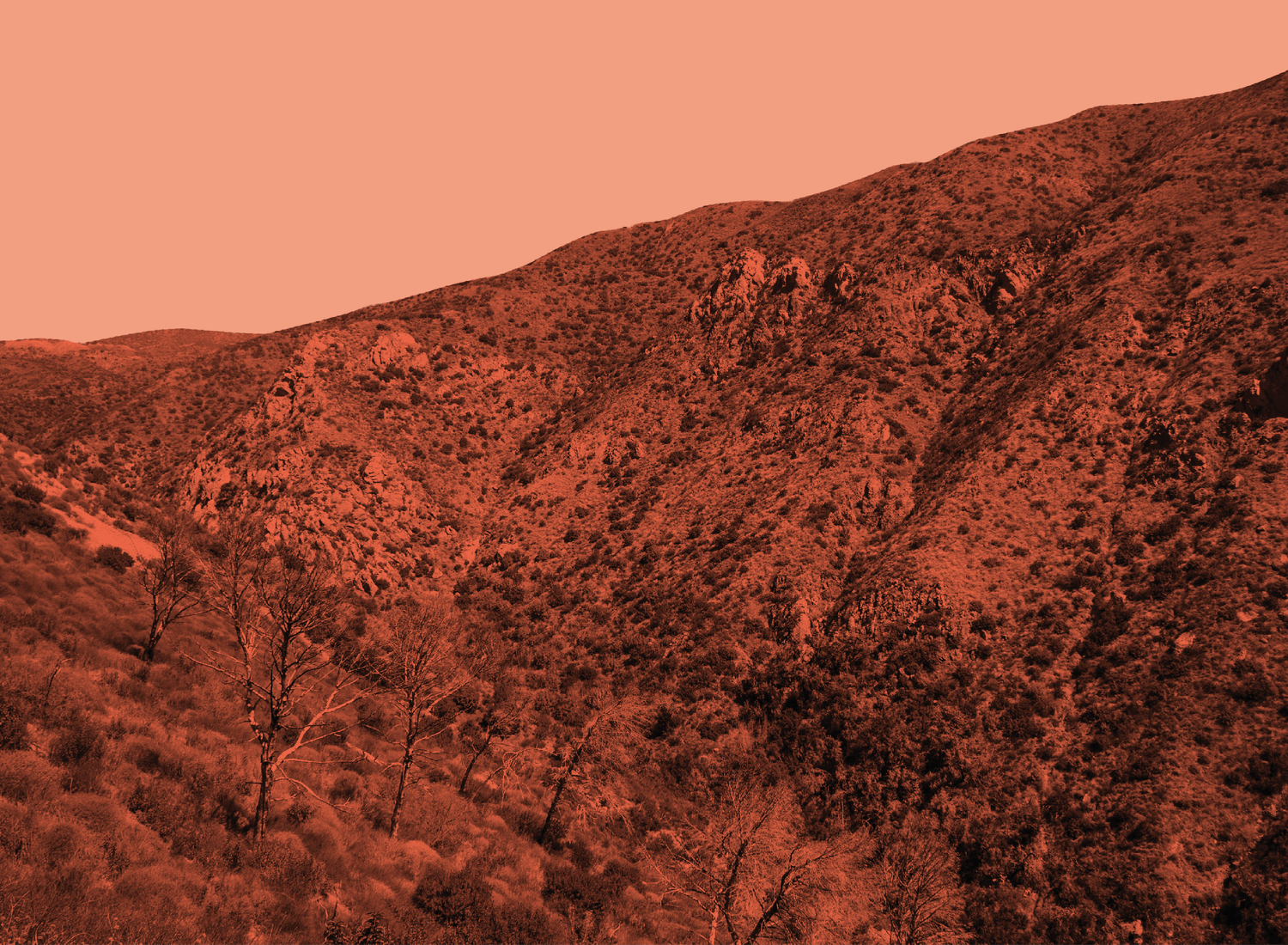 Forged by Fire: Extreme Weather Events Threaten Malibu - Pepperdine Graphic