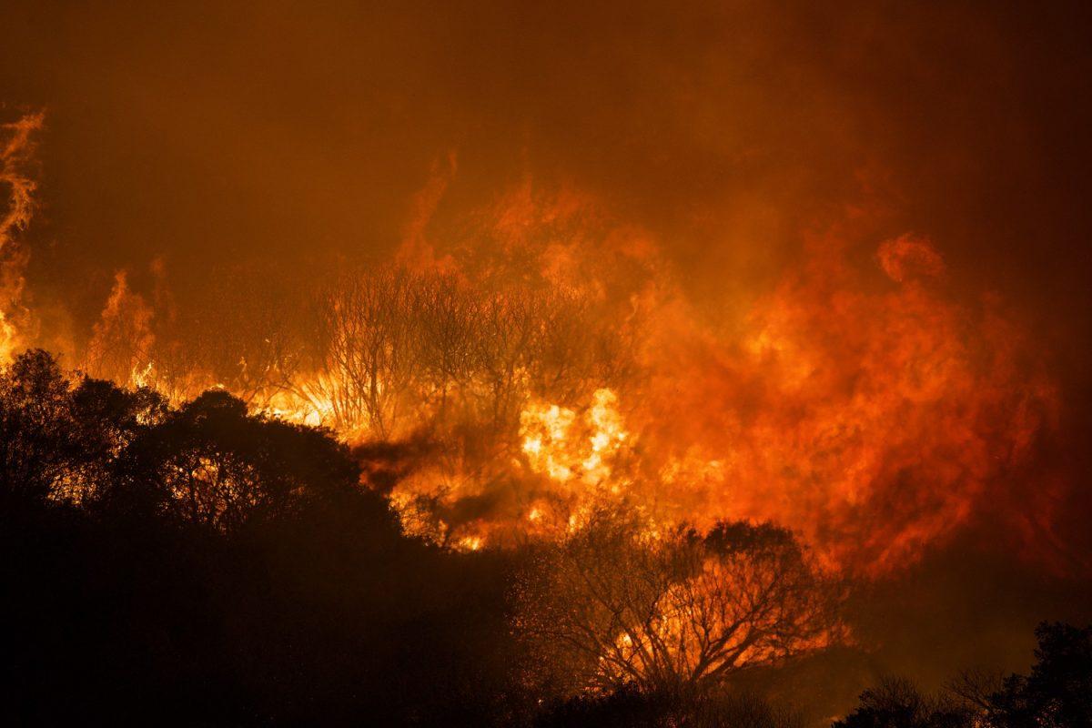Photo Gallery: Franklin Fire - Pepperdine Graphic