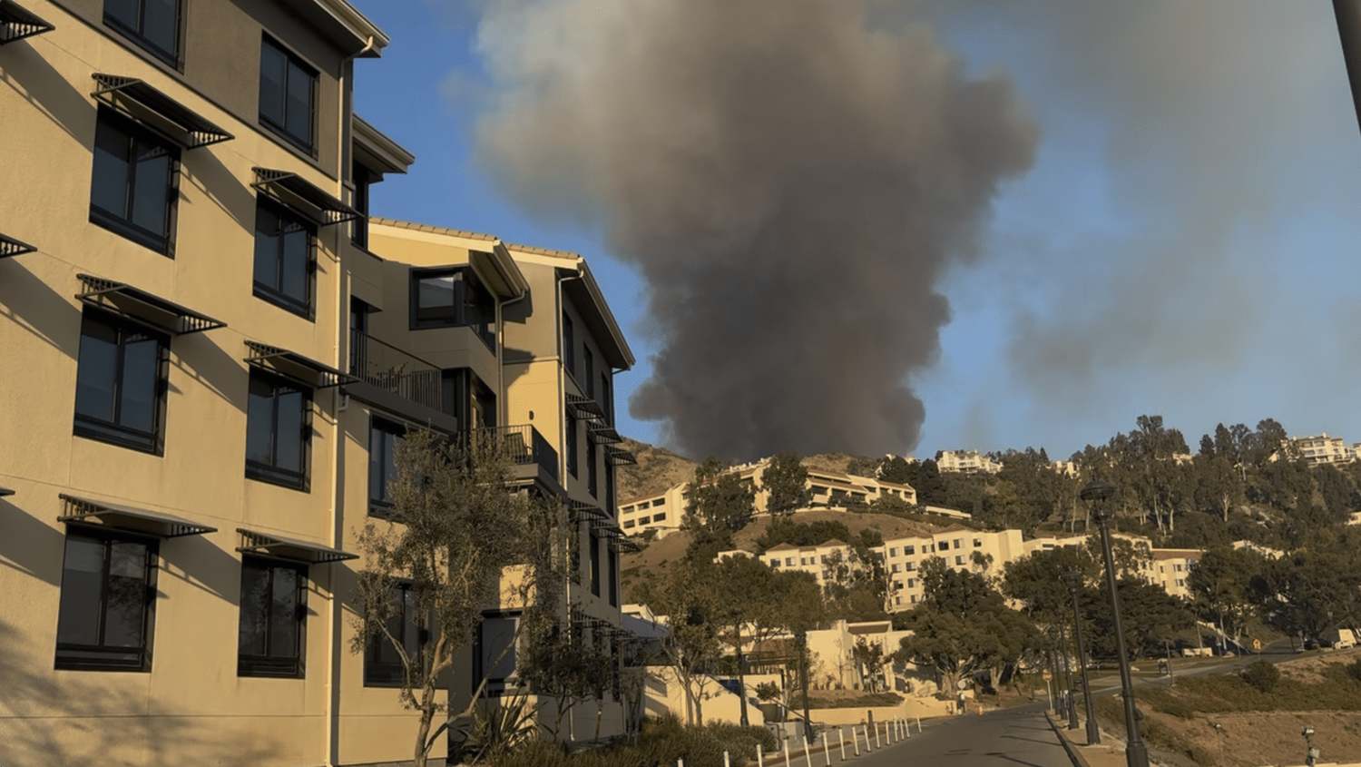 Competing Amid Tragedy: Pepperdine Athletes Navigate the Palisades Fire ...