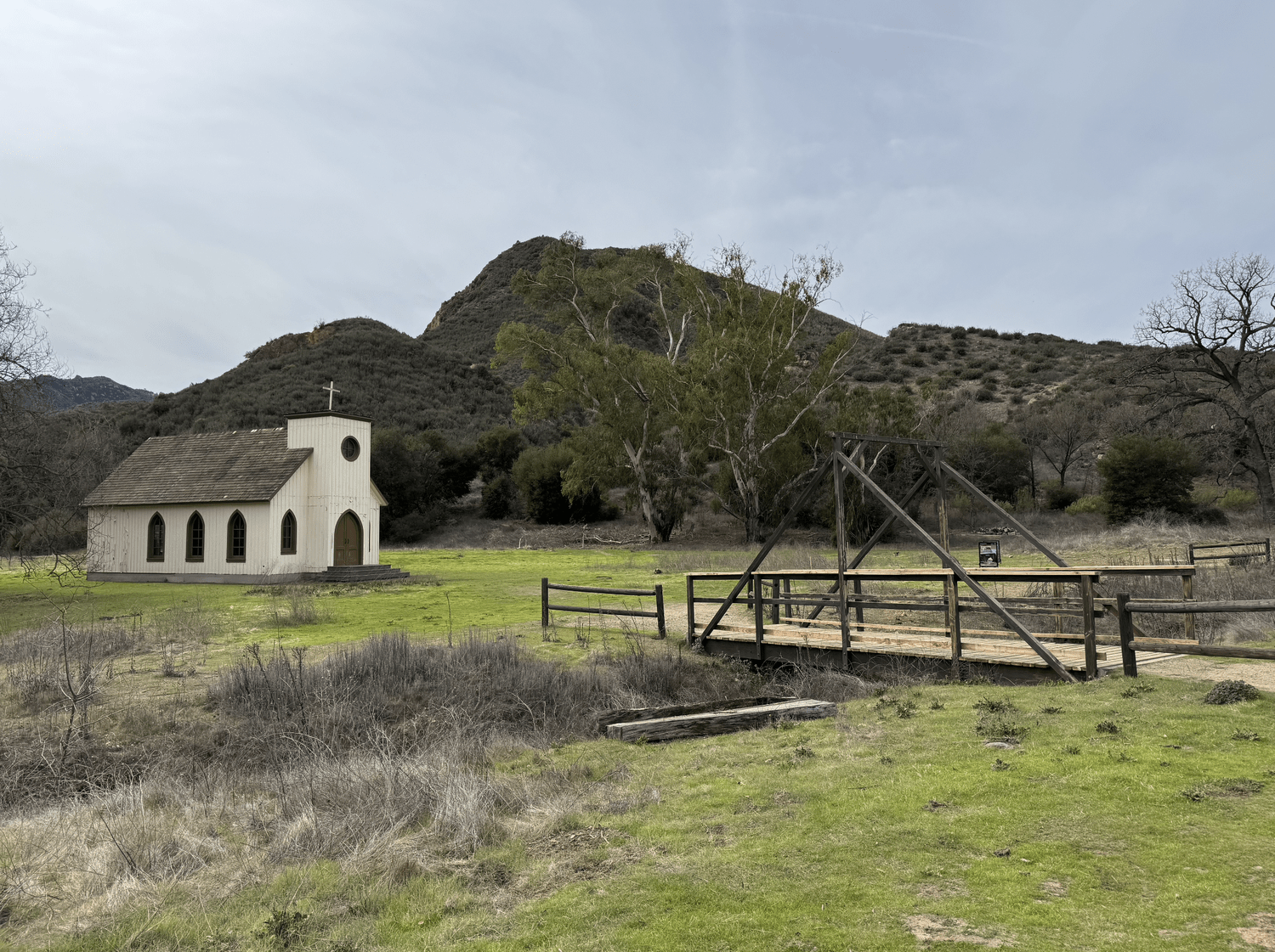 Flourishing After Fire: Sprouts Return to Malibu Hillsides - Pepperdine ...